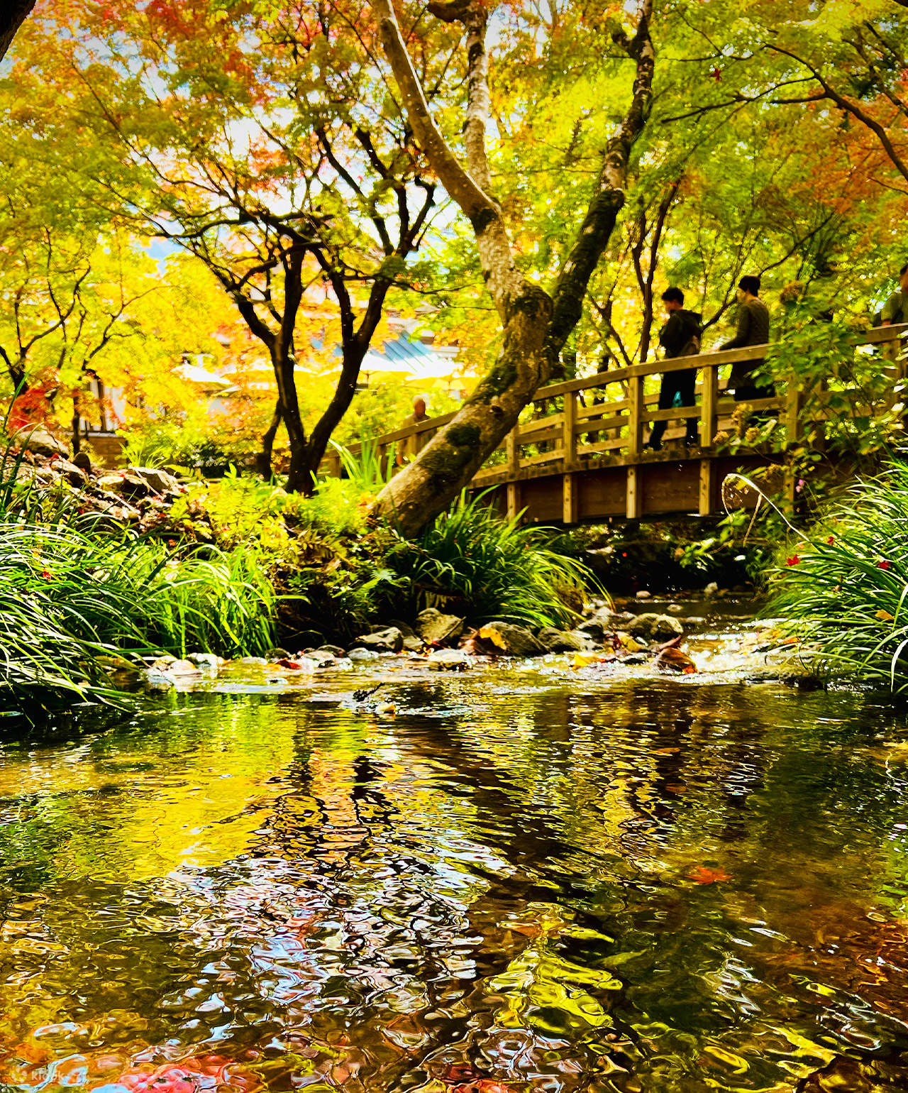 [Family Recommendation] Oita Day Trip | Yufuin Stroll, Kinrin Lake ...